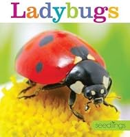 Ladybugs by Aaron Frisch