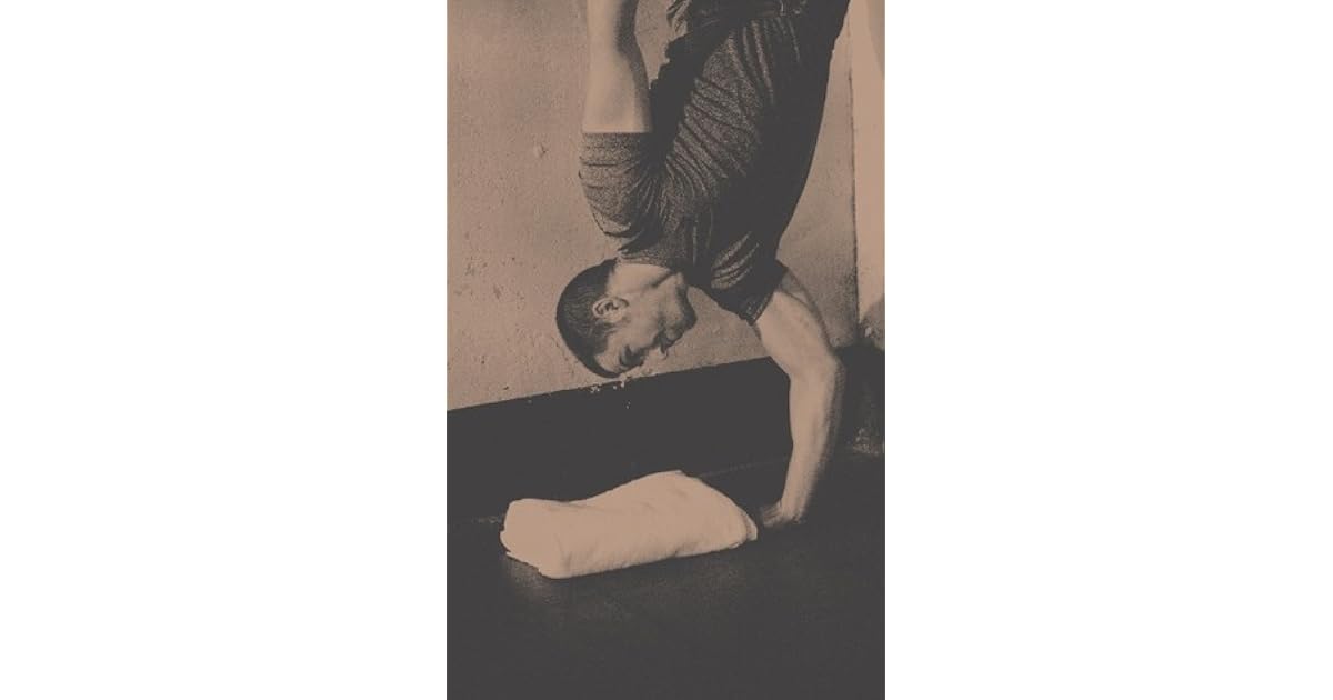 The 9 Lives of Ray The Cat Jones by Stewart Home