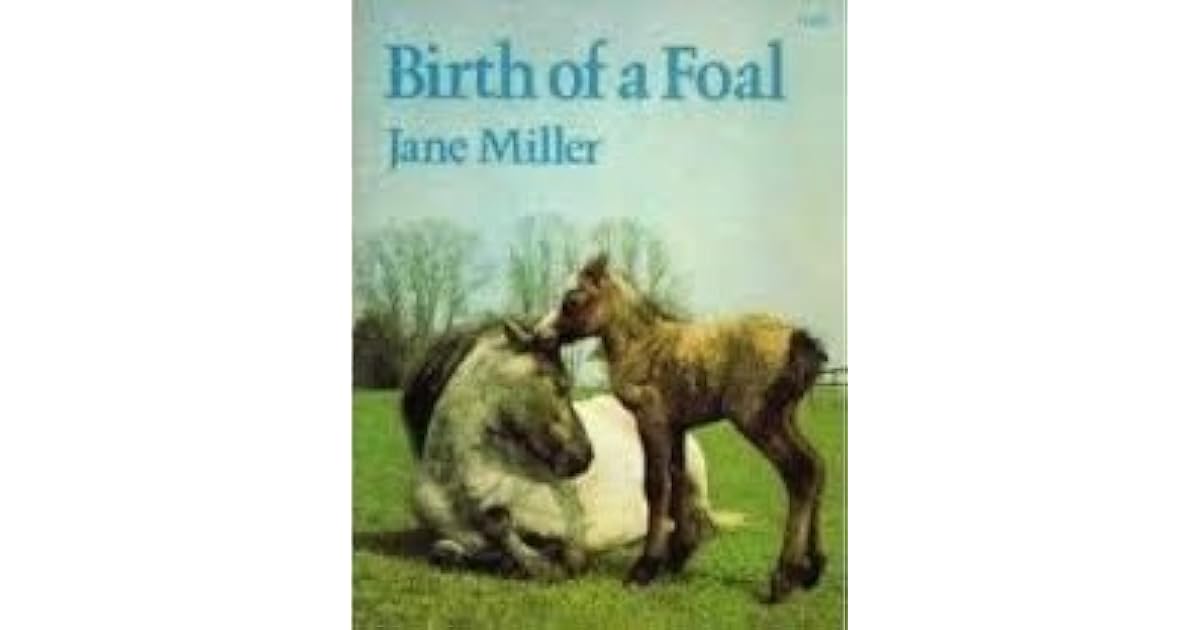 Birth Of A Foal by Jane Miller