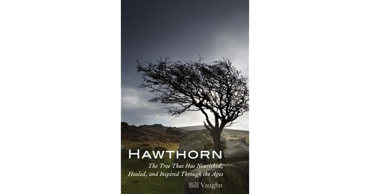 Hawthorn: The Tree That Has Nourished, Healed, and Inspired Through the ...