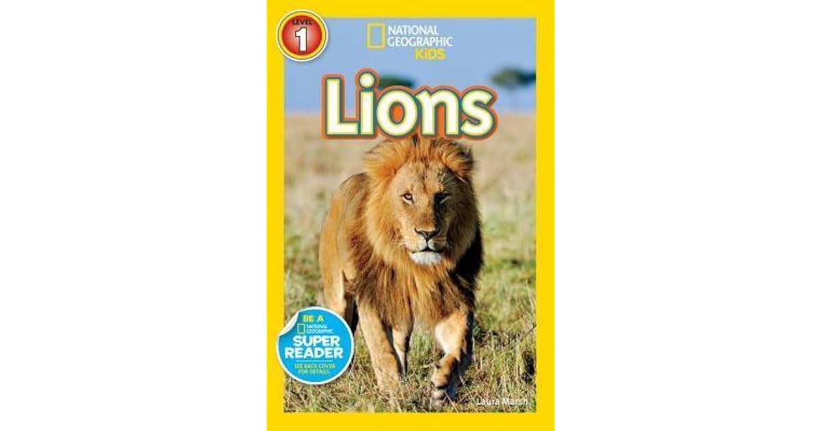 Lions by Laura Marsh