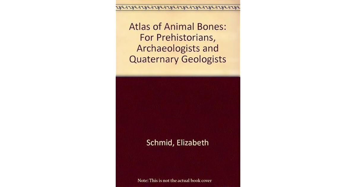 Atlas of Animal Bones: For Prehistorians, Archaeologists and Quaternary ...