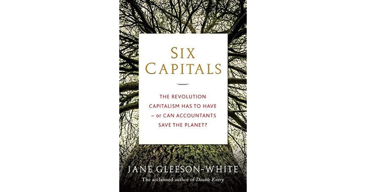 Six Capitals: The revolution capitalism has to have--or can accountants ...