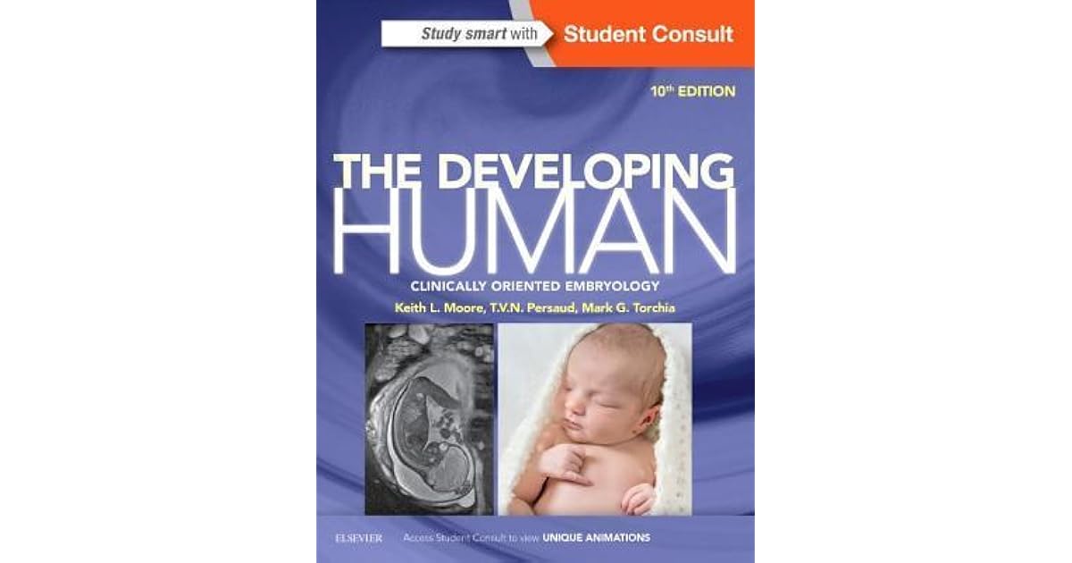 The Developing Human: Clinically Oriented Embryology by Keith L. Moore