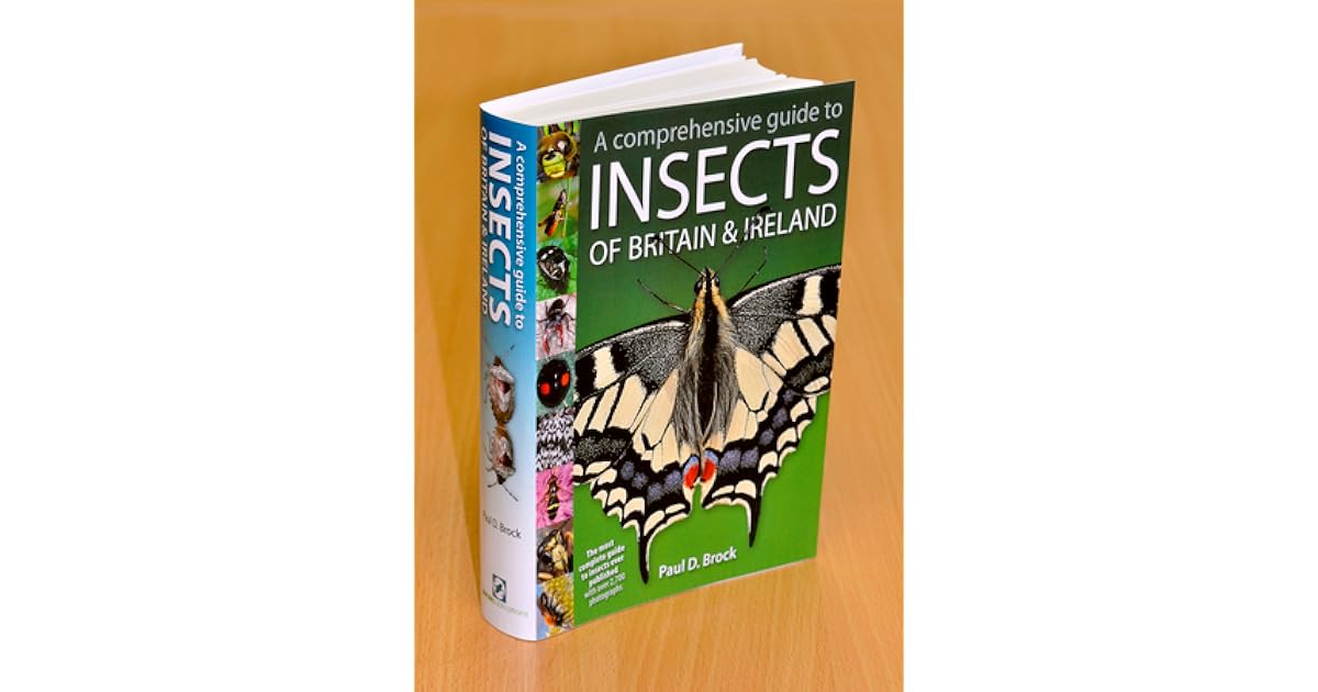A Comprehensive Guide to Insects of Britain and Ireland by Paul D. Brock