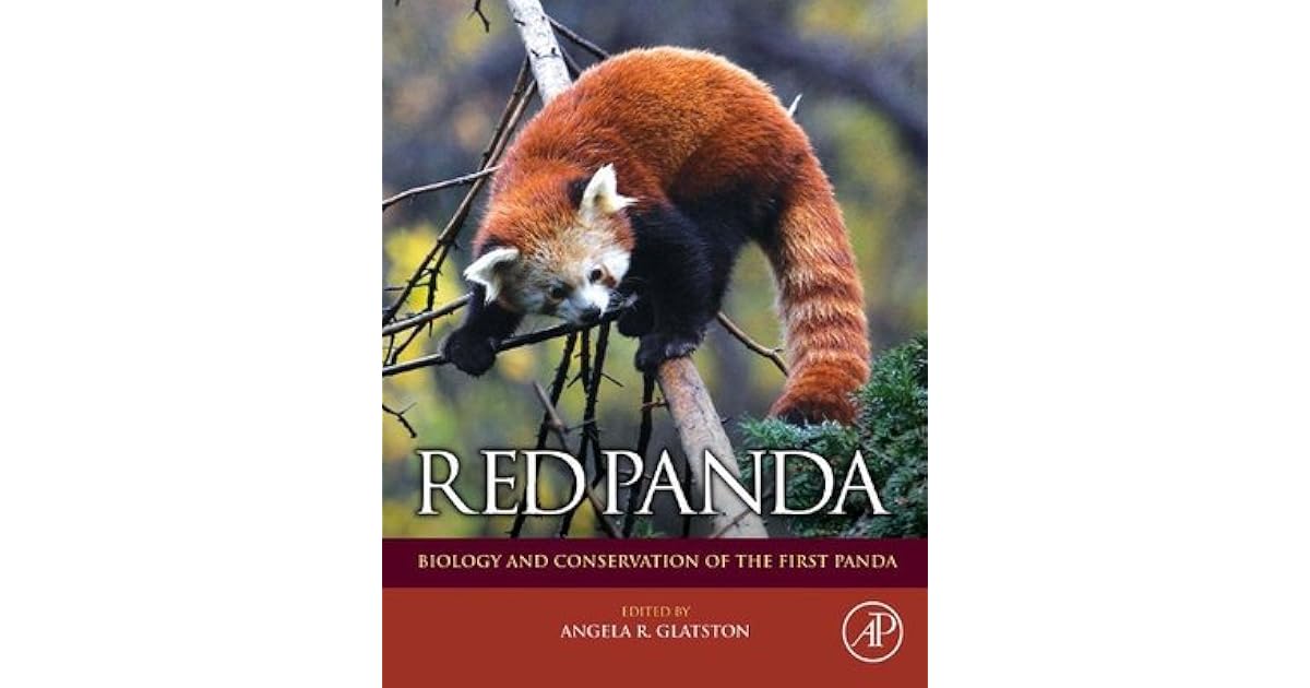 Red Panda: Biology and Conservation of the First Panda by Angela R ...