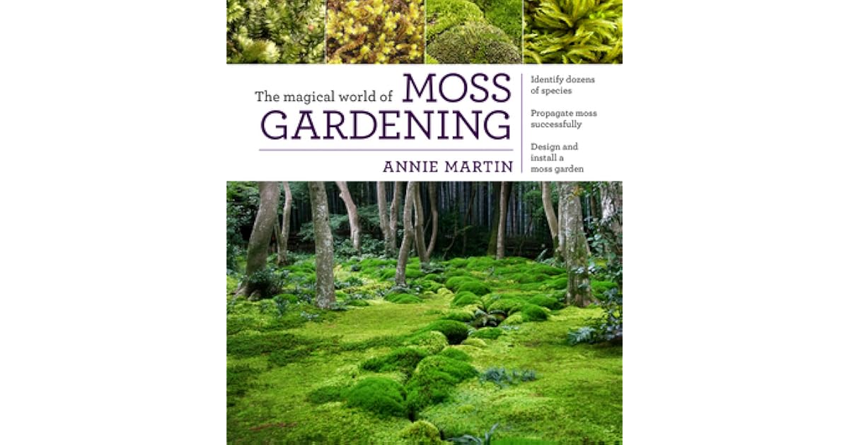 The Magical World of Moss Gardening by Annie Martin