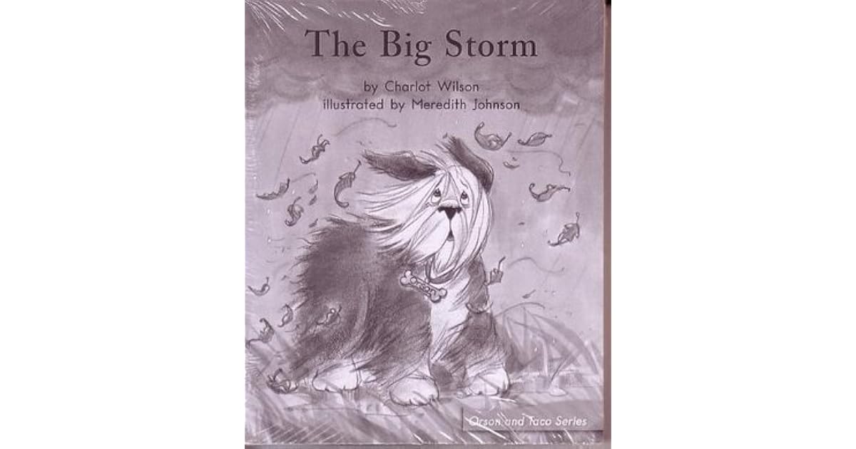 The Big Storm; Leveled Literacy Intervention My Take-Home 6 Pak Books ...