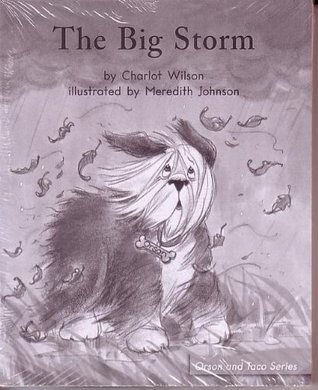 The Big Storm; Leveled Literacy Intervention My Take-Home 6 Pak Books ...