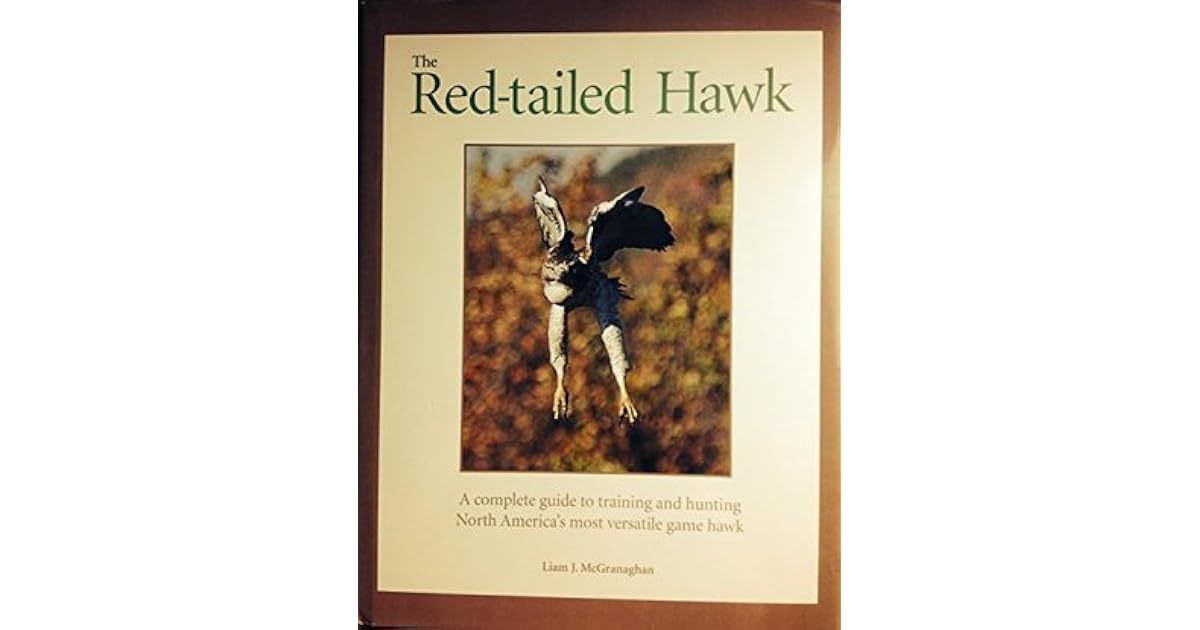 Red-Tailed Hawk : A Complete Guide to Training and Hunting North ...