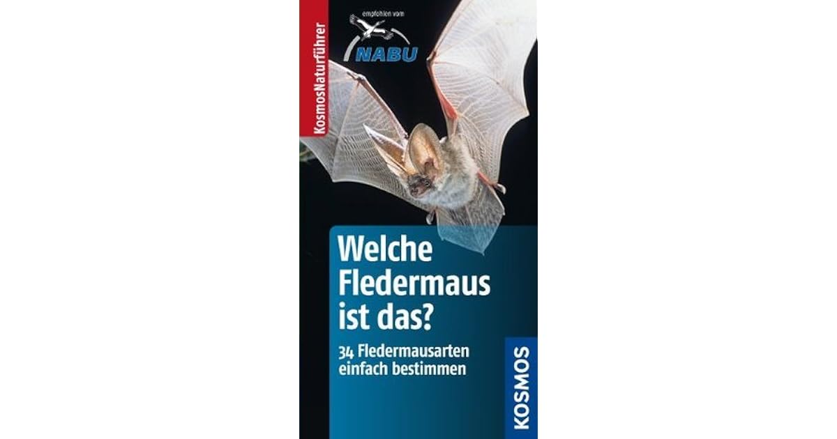 Welche Fledermaus ist das?: 34 Fledermausarten einfach bestimmen by ...