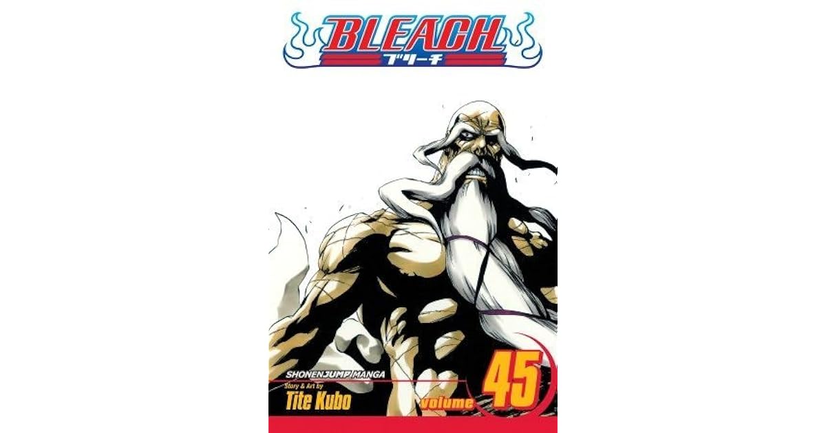 Bleach, Volume 45 by Tite Kubo