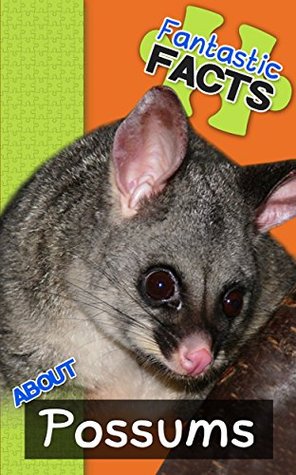 Fantastic Facts About Possums: Illustrated Fun Learning For Kids by ...
