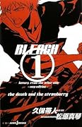 Bleach Light Novels Series by Tite Kubo