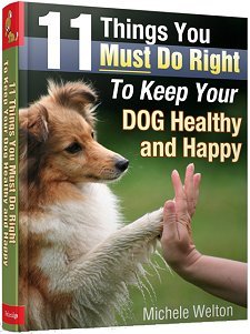 11 Things You Must Do Right To Keep Your Dog Healthy and Happy by ...