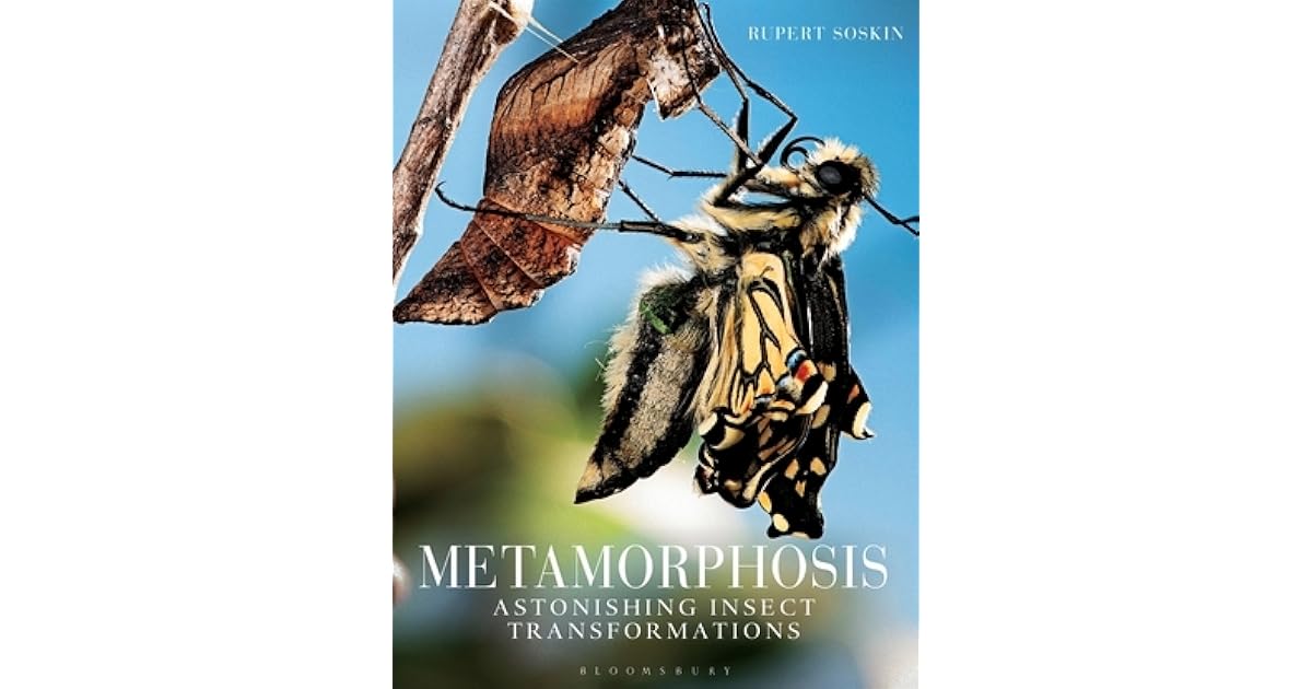 Metamorphosis: Astonishing Insect Transformations by Rupert Soskin