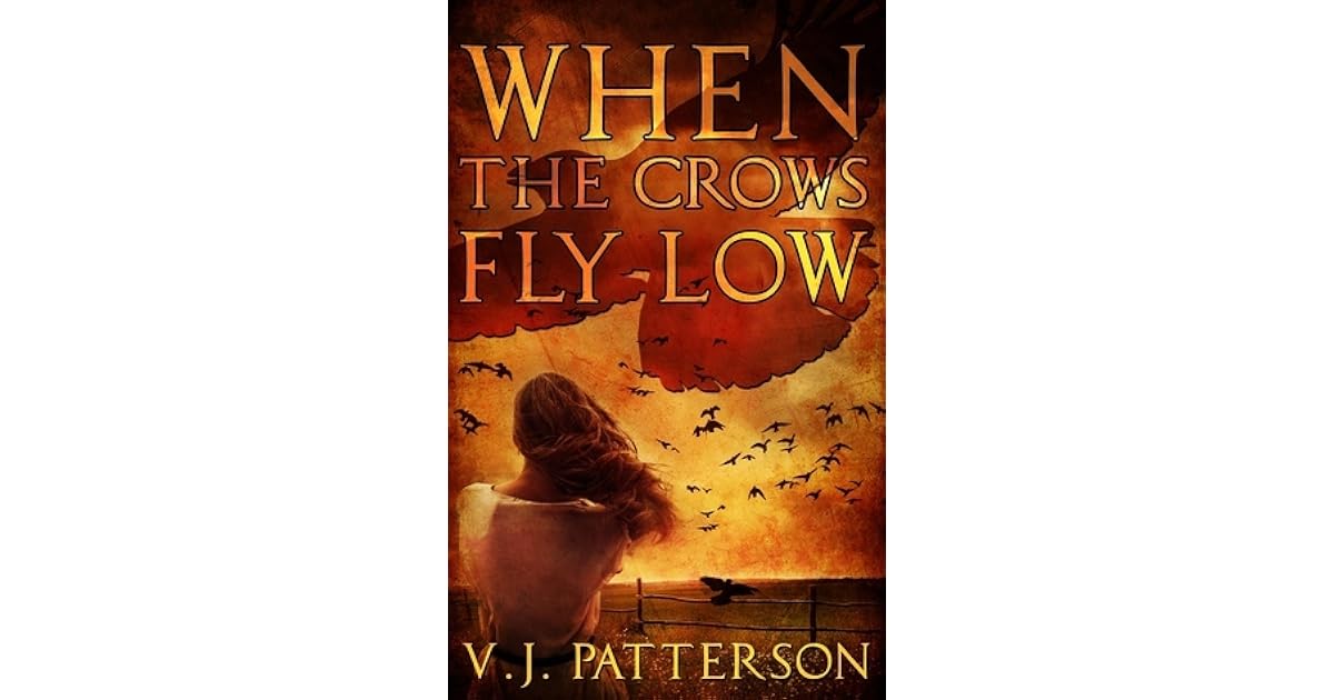 When the Crows Fly Low by V.J. Patterson