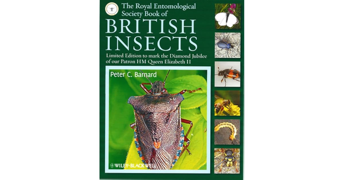 The Royal Entomological Society Book of British Insects by Peter C. Barnard