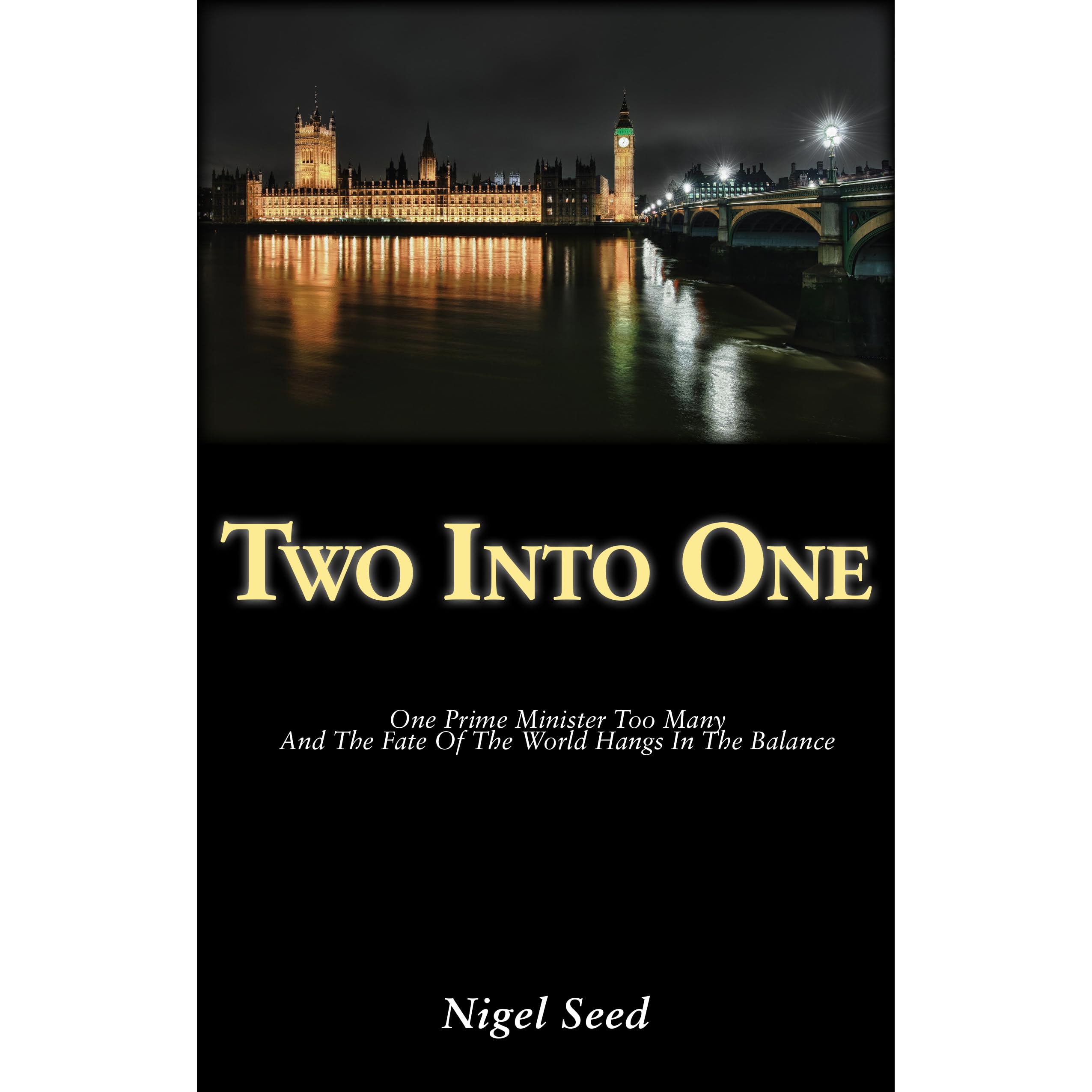 Two Into One by Nigel Seed — Reviews, Discussion, Bookclubs, Lists