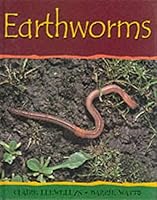 Earthworms by Claire Llewellyn
