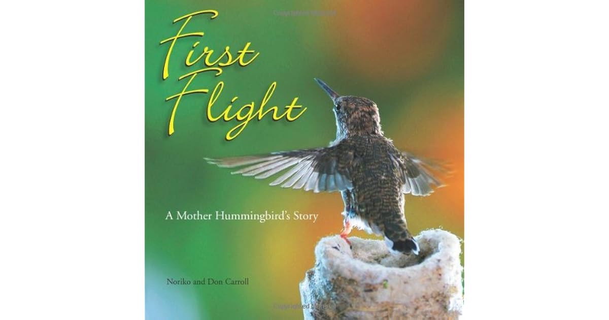 First Flight: A Mother Hummingbird's Story by Noriko Carroll