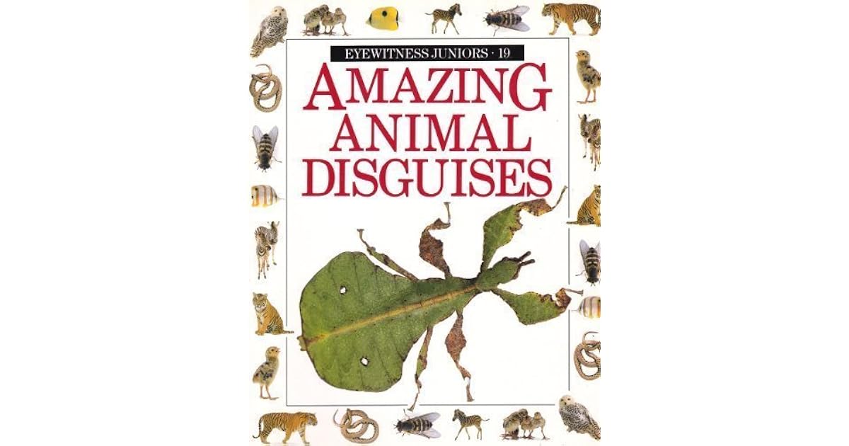 Amazing Animal Disguises by Sandie Sowler