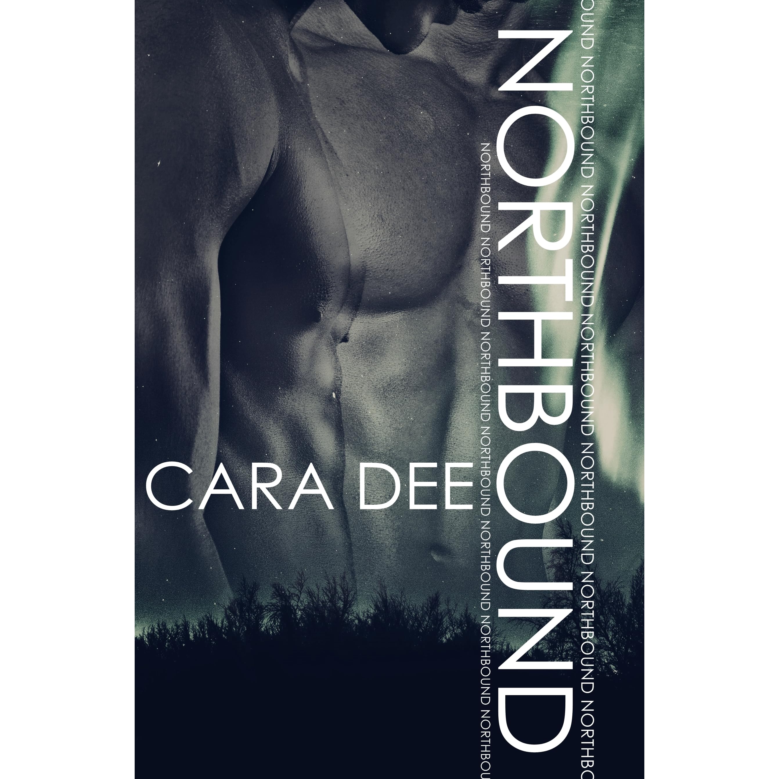 Northbound (The North Novels, #1) by Cara Dee — Reviews, Discussion ...