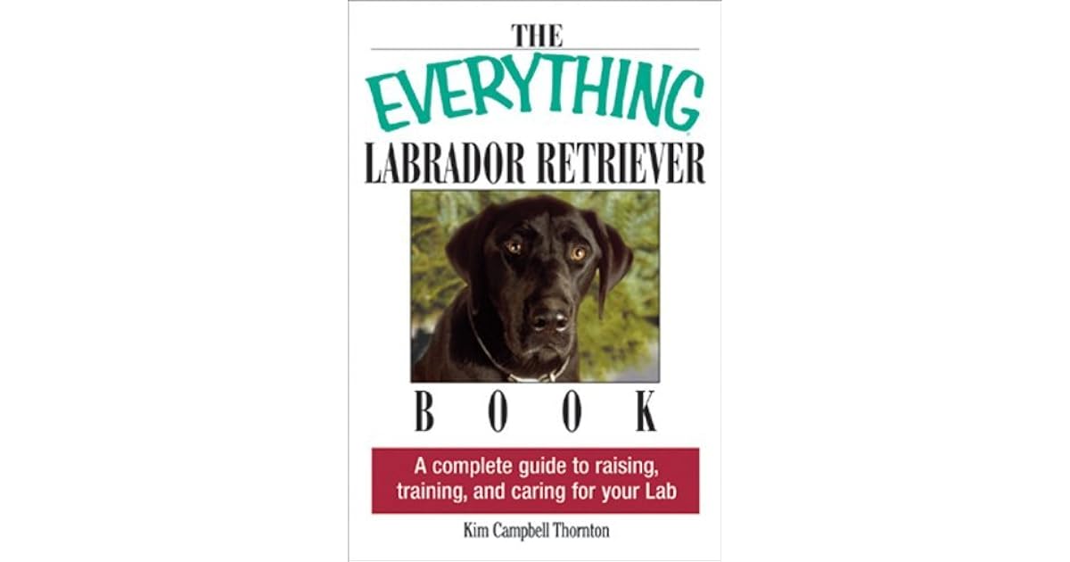 The Everything Labrador Retriever Book by Kim Campbell Thornton