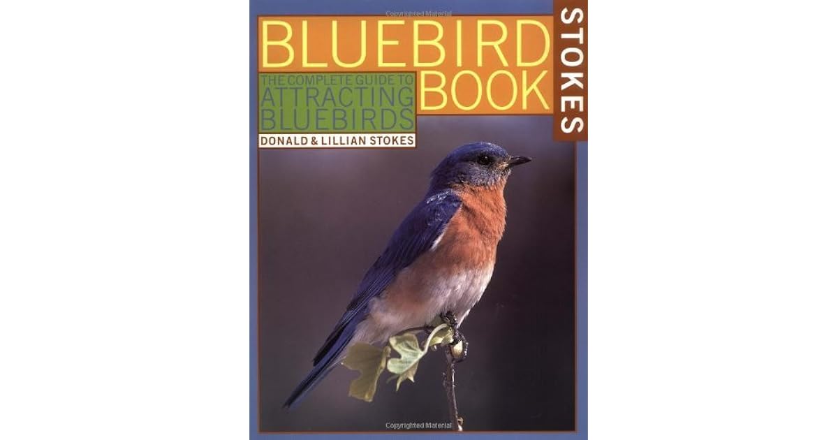 The Bluebird Book: The Complete Guide to Attracting Bluebirds by Donald ...