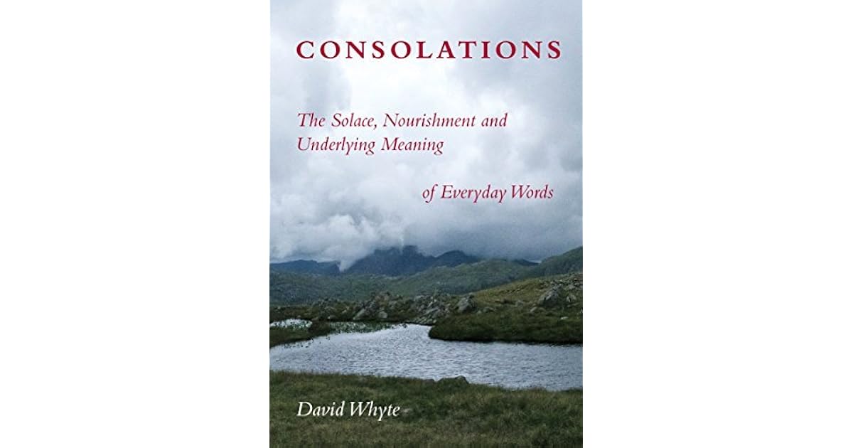 Consolations: The Solace, Nourishment and Underlying Meaning of ...
