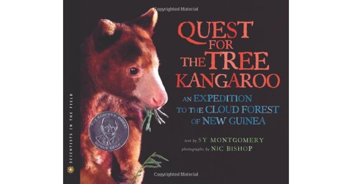 The Quest for the Tree Kangaroo: An Expedition to the Cloud Forest of ...