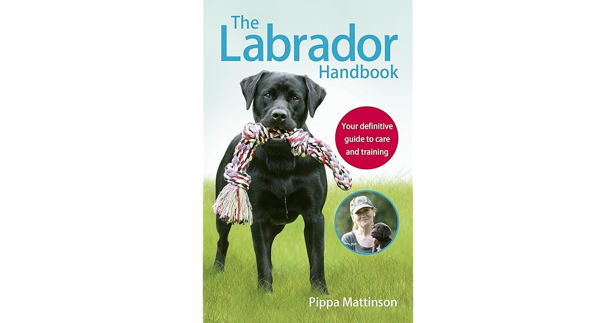 The Labrador Handbook: The definitive guide to training and caring for ...