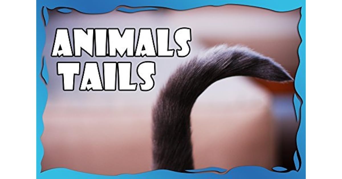 Animals Tails by Dan Jackson