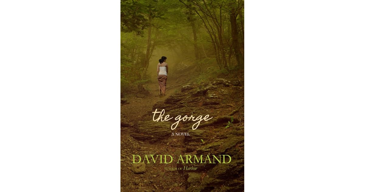 The Gorge by David Armand