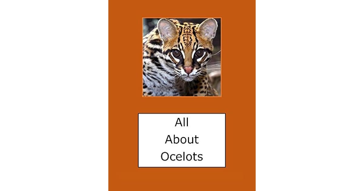 All About Ocelots by S.R. Stewart