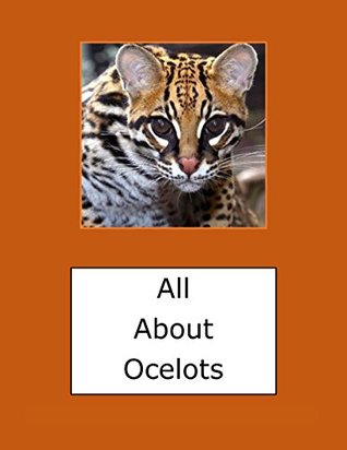 All About Ocelots by S.R. Stewart