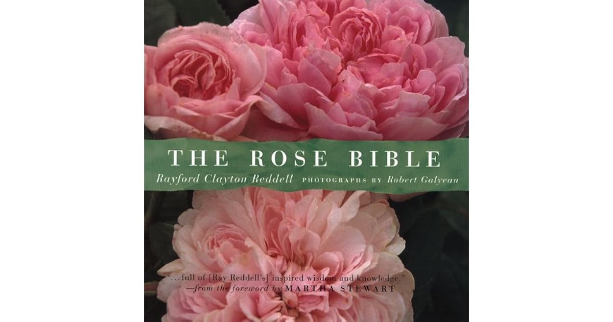 The Rose Bible by Rayford Clayton Reddell