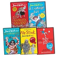 The World of David Walliams: Best Boxset Ever: 5 Books: The Boy in the ...