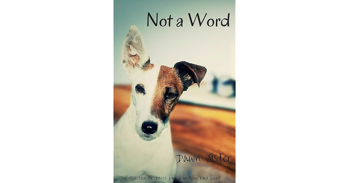 Not a Word by Dawn Sister