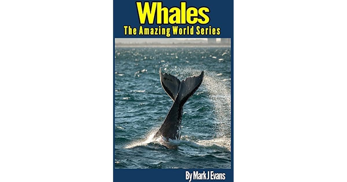 Whale Book for Kids: Stunning Photo Marine Book for Kids with Fun ...
