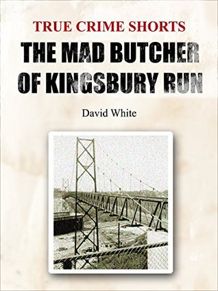 The Mad Butcher of Kingsbury Run by David White