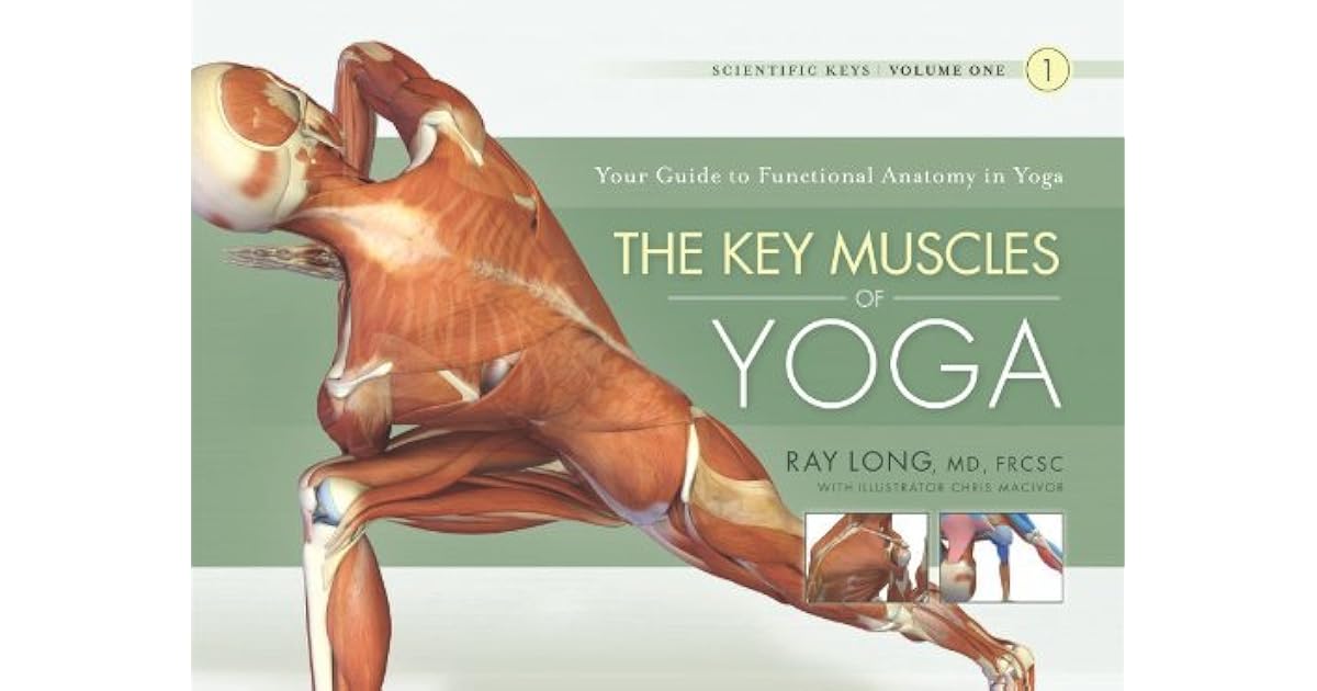The Key Muscles of Yoga: Scientific Keys Volume I by Ray Long