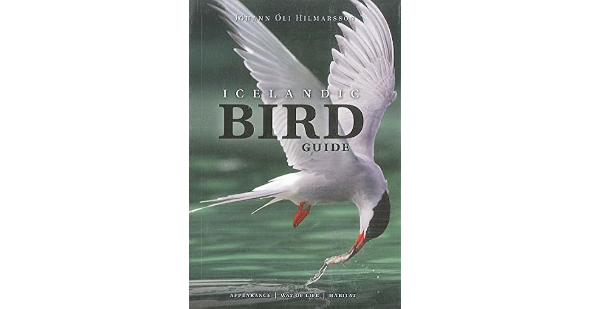 Icelandic Bird Guide: Appearance, Way of Life, Habitat by J.O. Hilmarsson