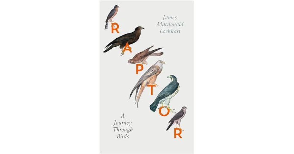 Raptor: A Journey Through Birds by James Macdonald Lockhart