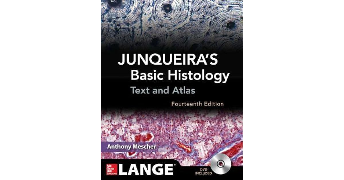 Junqueira's Basic Histology: Text and Atlas by Anthony L. Mescher