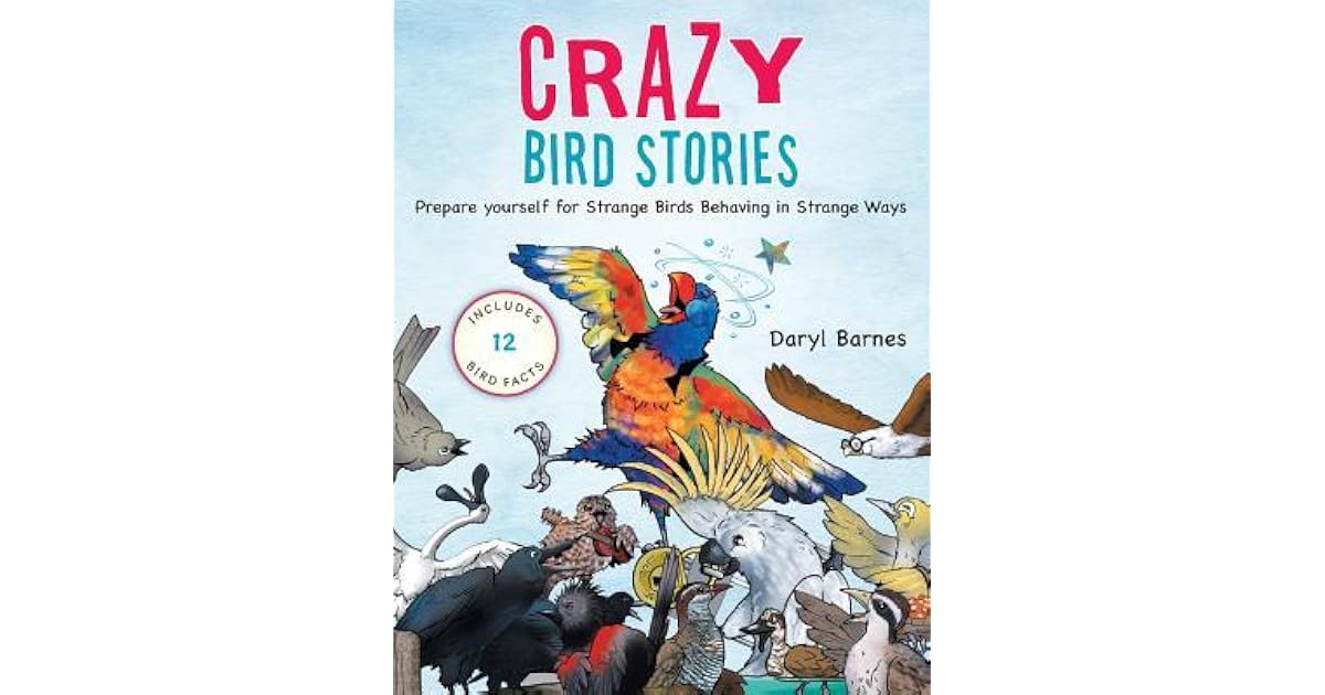 Crazy Bird Stories: Prepare Yourself for Strange Birds Behaving in ...