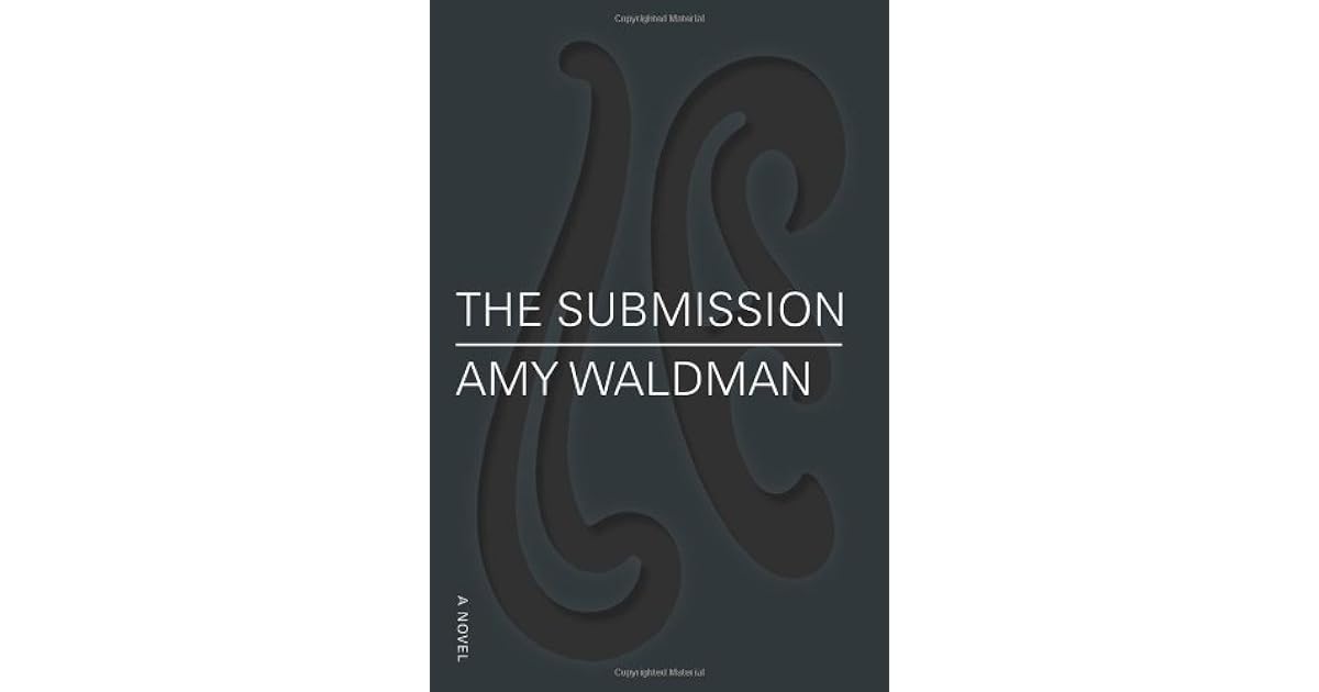 The Submission by Amy Waldman