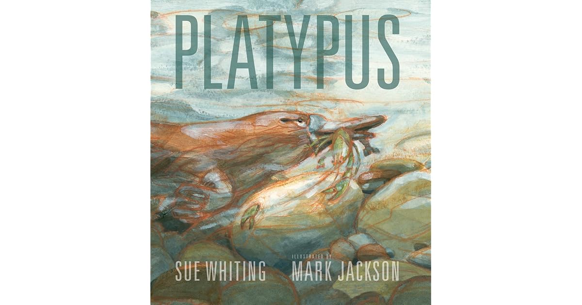 Platypus by Sue Whiting