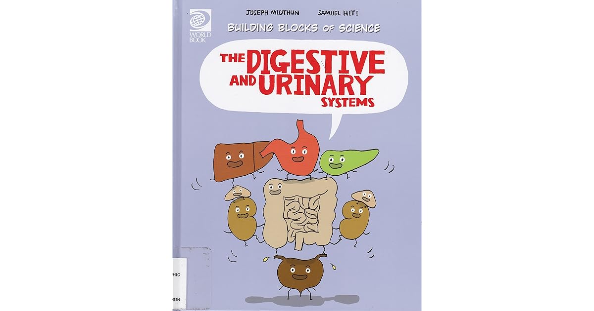 The Digestive and Urinary Systems by Joseph Midthun