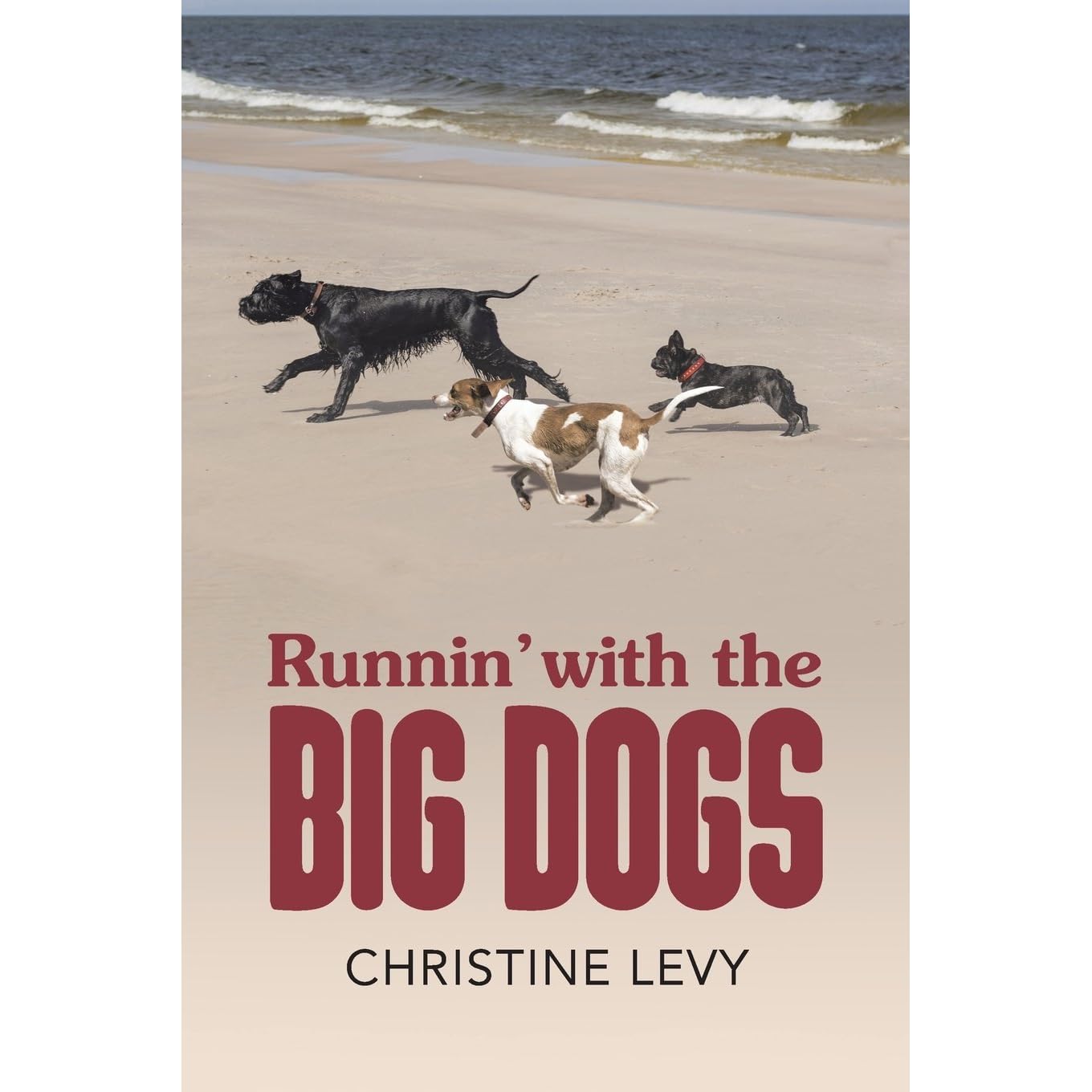Runnin' with the Big Dogs by Christine Levy — Reviews, Discussion ...